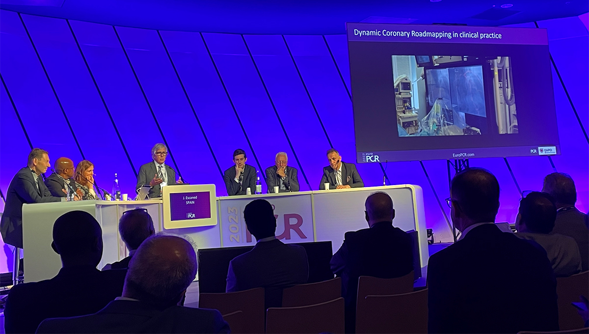 Virtual, Dynamic Coronary Map Cuts Contrast During PCI: DCR4Contrast | tctmd.com